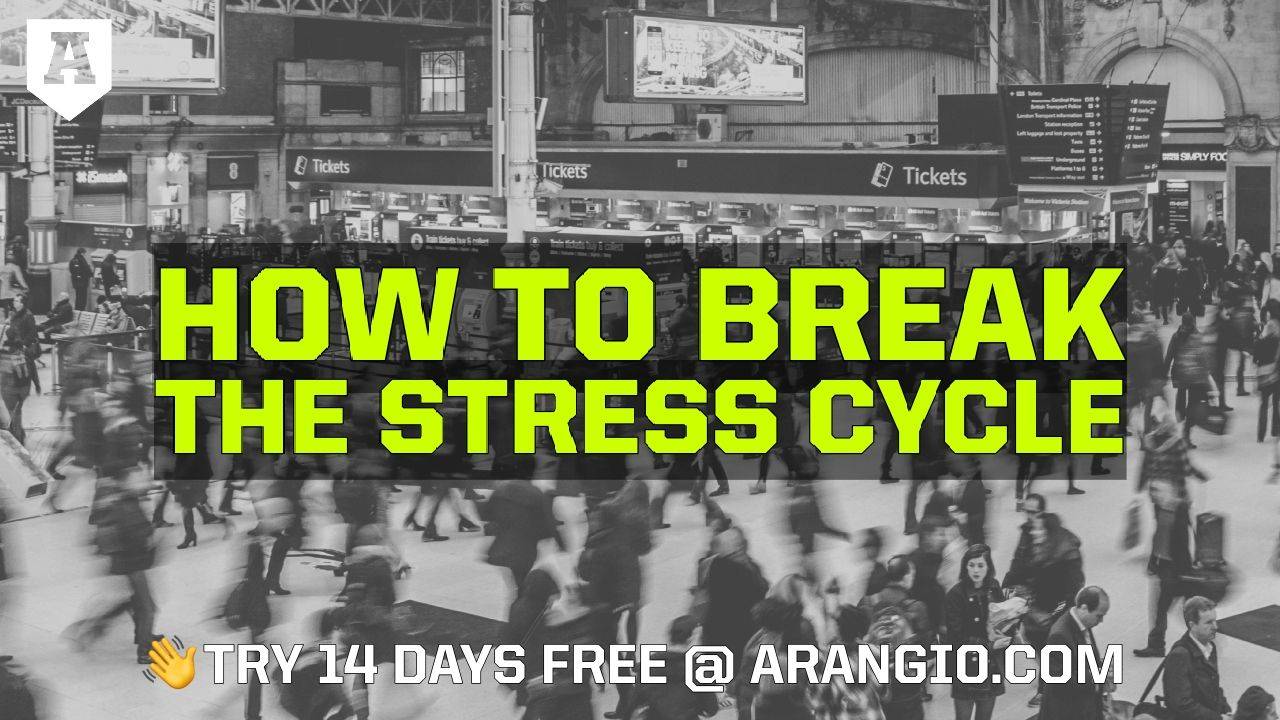 How to Break the Stress Cycle | Joseph Arangio