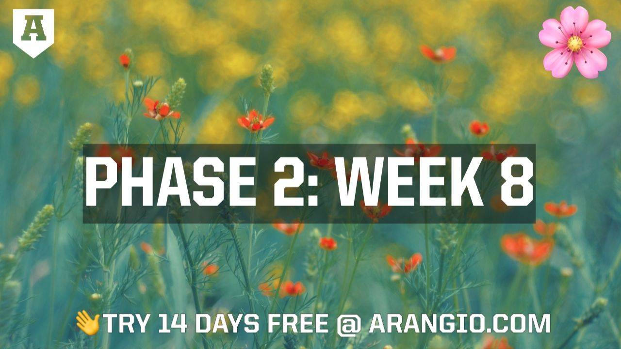 Spring Phase 2: Week 8 | Joseph Arangio