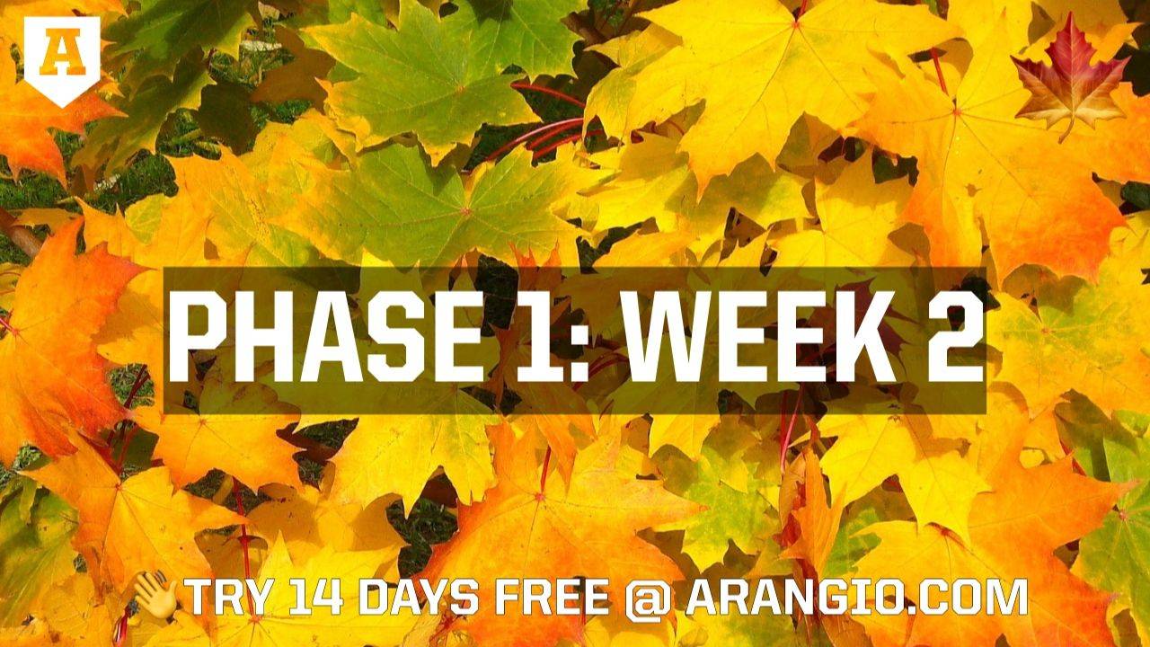 Fall Phase 1: Week 2 | Joseph Arangio