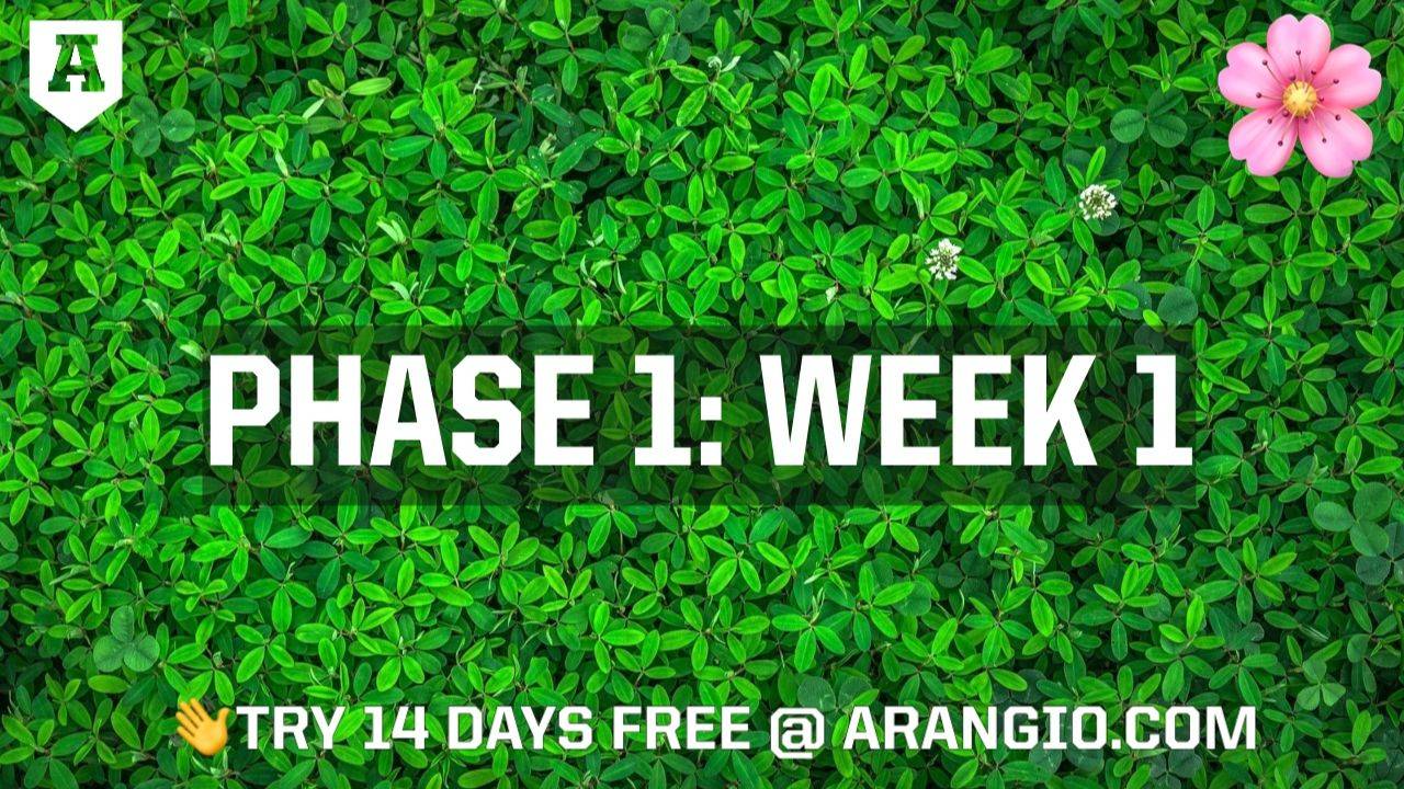 Spring Phase 1: Week 1 | Joseph Arangio