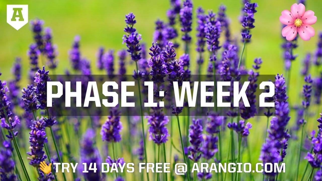 Spring Phase 1: Week 2 | Joseph Arangio