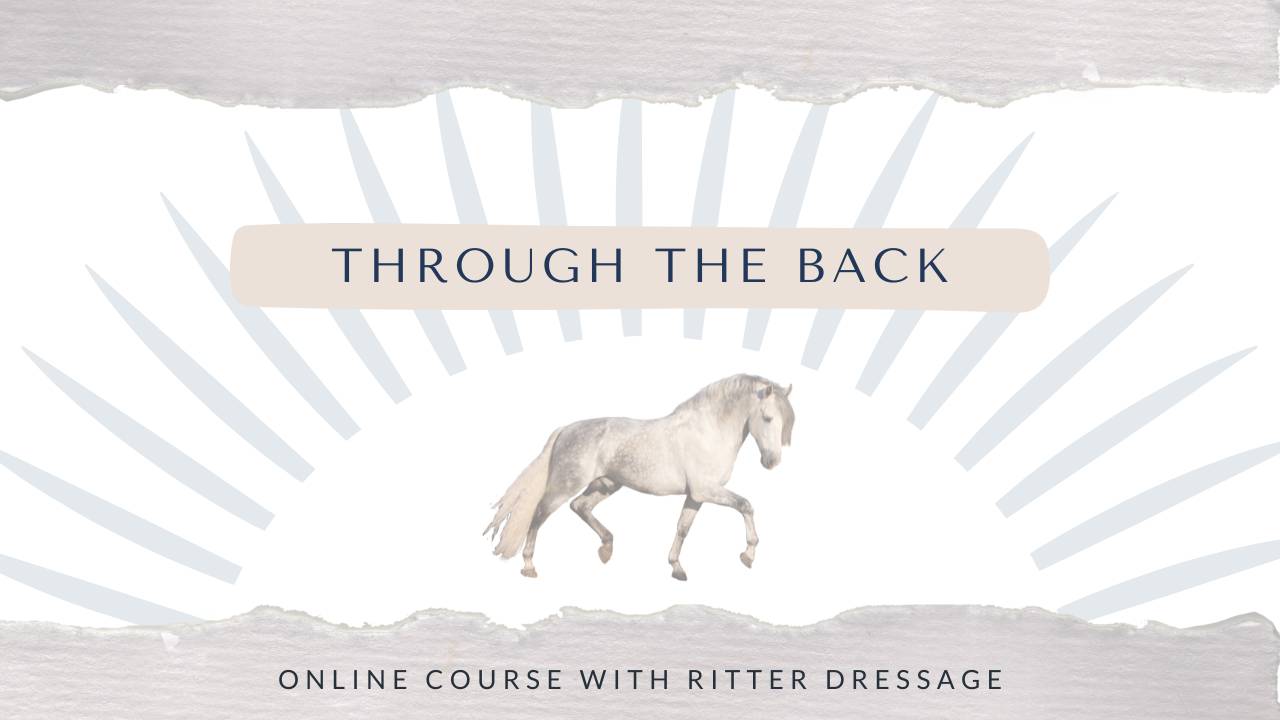 Through the Back Course with Ritter Dressage