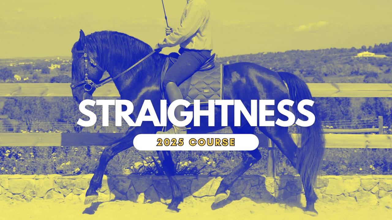 Straightness Training with Ritter Dressage - 2025
