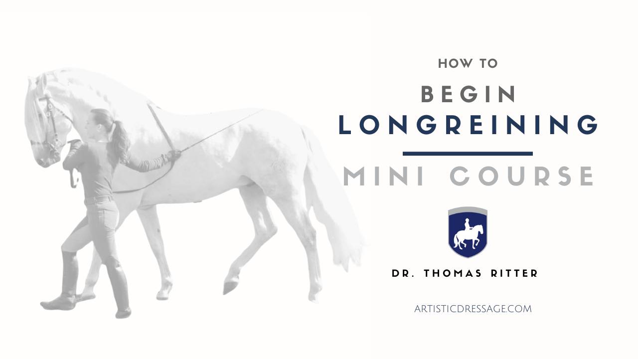 How to Begin Longreining Mini Course