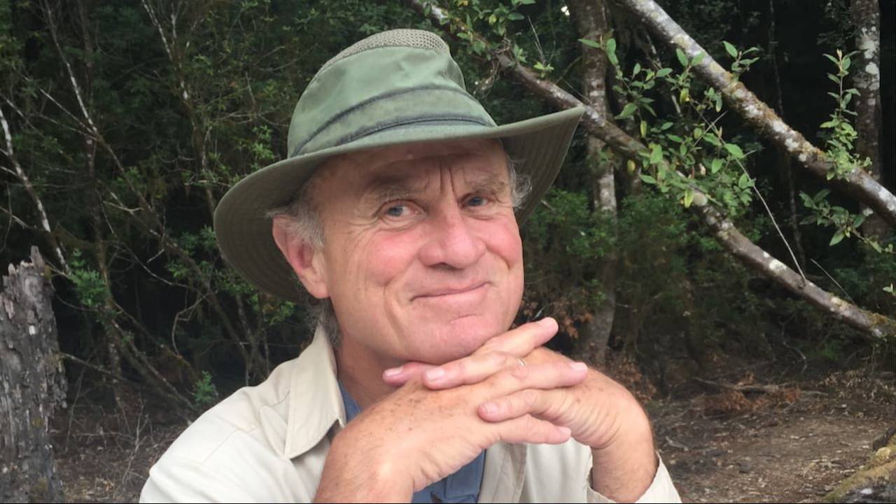 David Tresemer Legacy