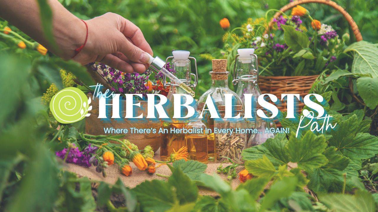 Herbal Remedies For Kids, Natural Healing, & The Herbalist's Path