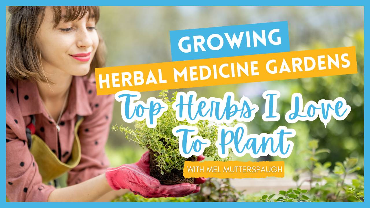 Growing Herbal Medicine Gardens Top Herbs I Love To Plant