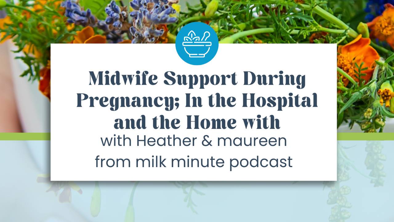 Midwife Support During Pregnancy; In the Hospital and the Home