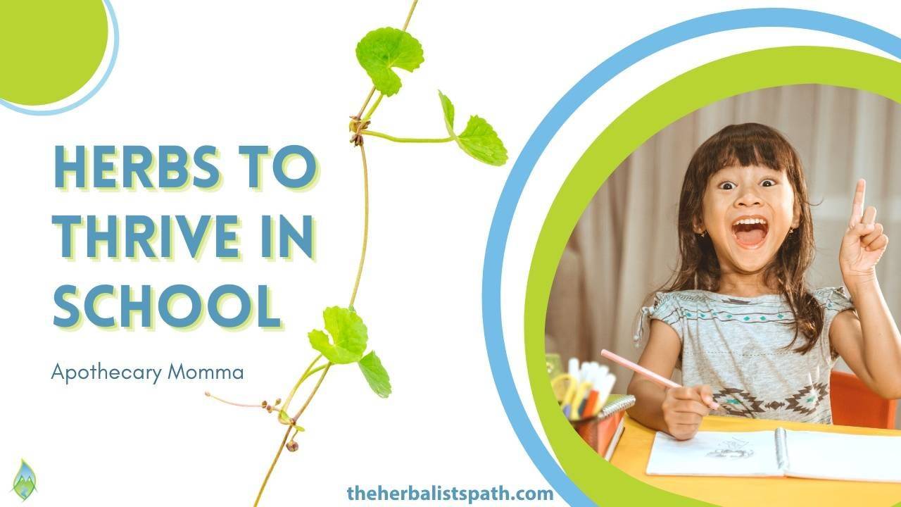 Herbs To Thrive In School