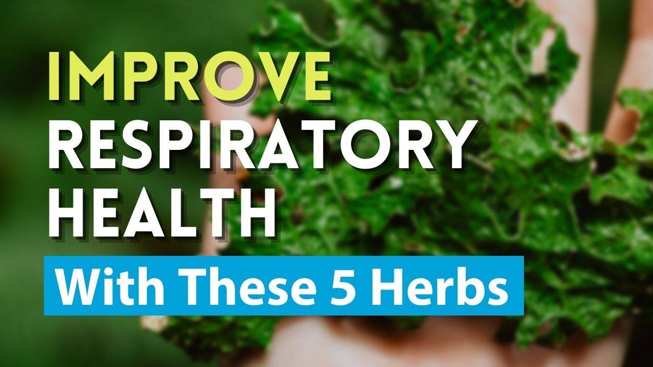 Improve Your Respiratory Health With These 5 Herbs