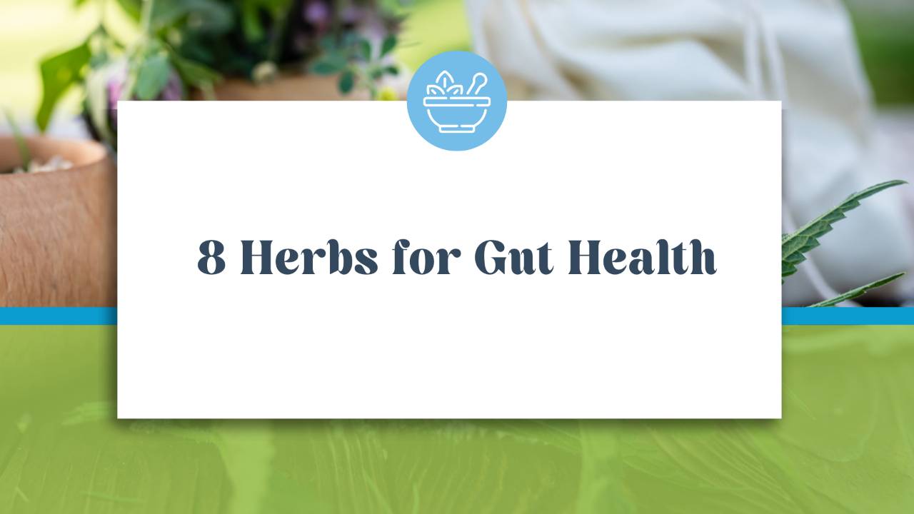 8 Herbs for Gut Health! Your Path to Better Digestion