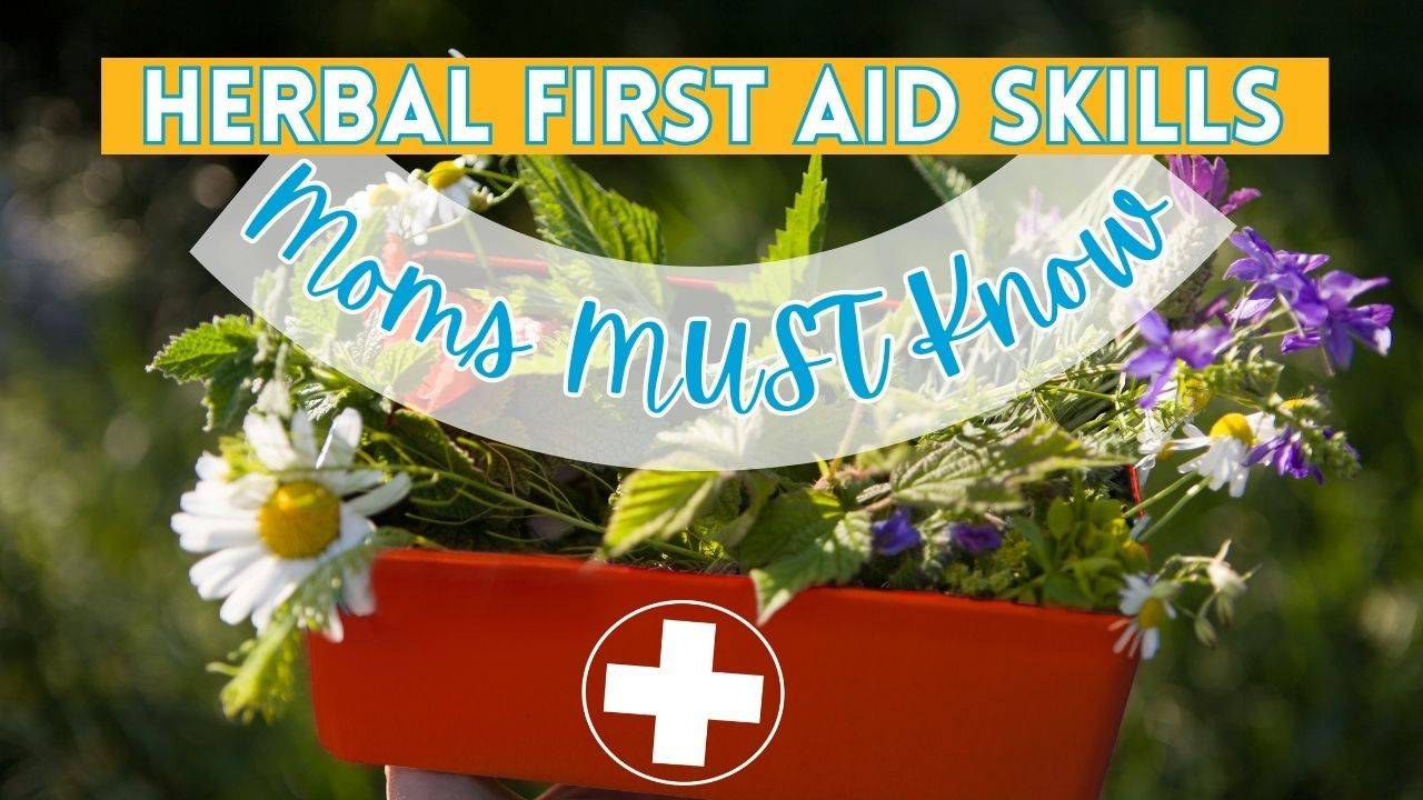Herbal First Aid Skills Homestead Moms Must Know
