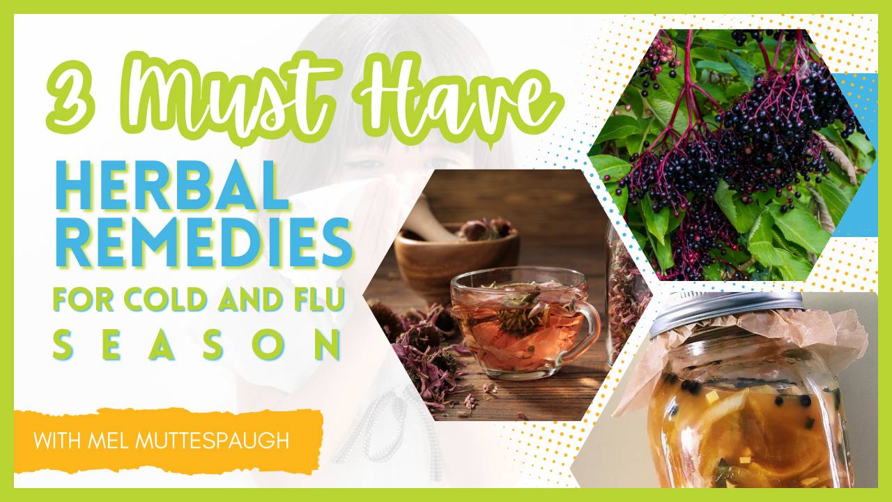 3 Must Have Herbal Remedies For Cold And Flu Season