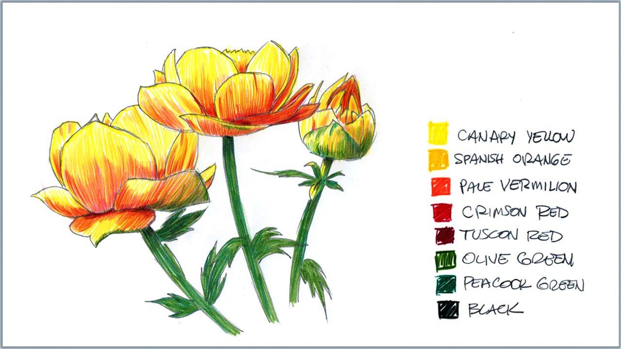 Self-Paced Drawing for Calligraphers