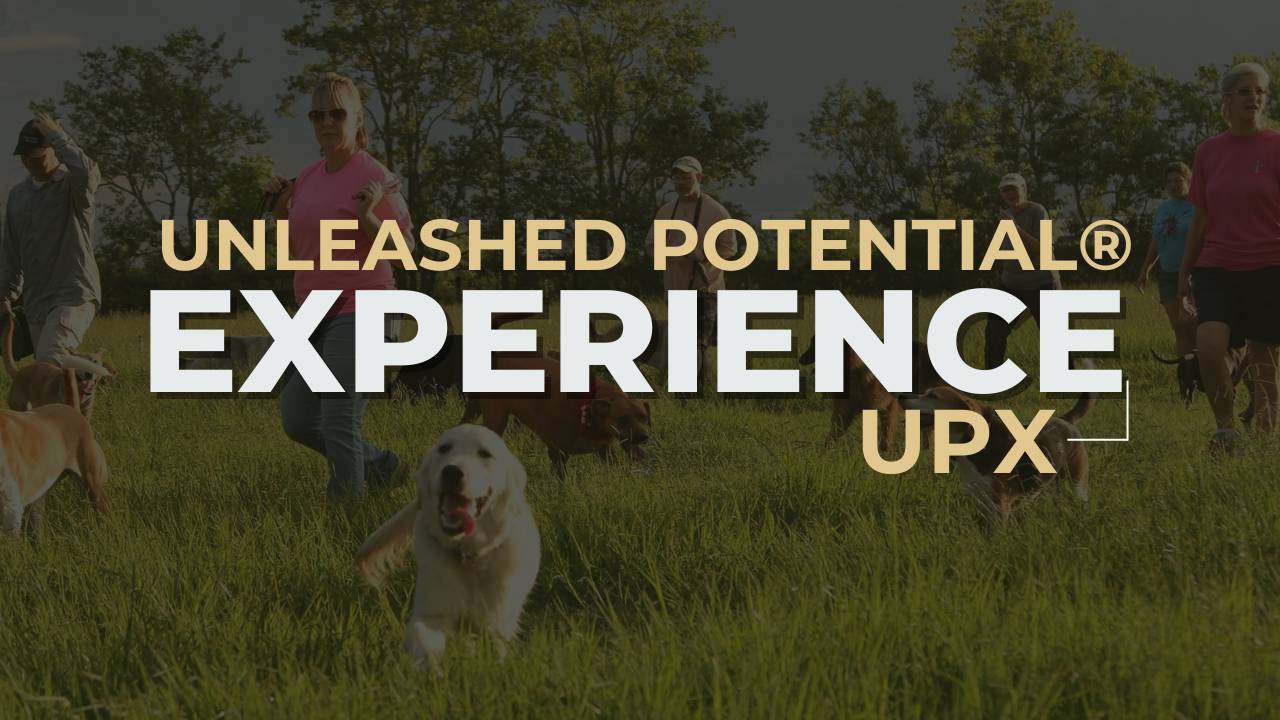 Unleashed Potential Experience Membership