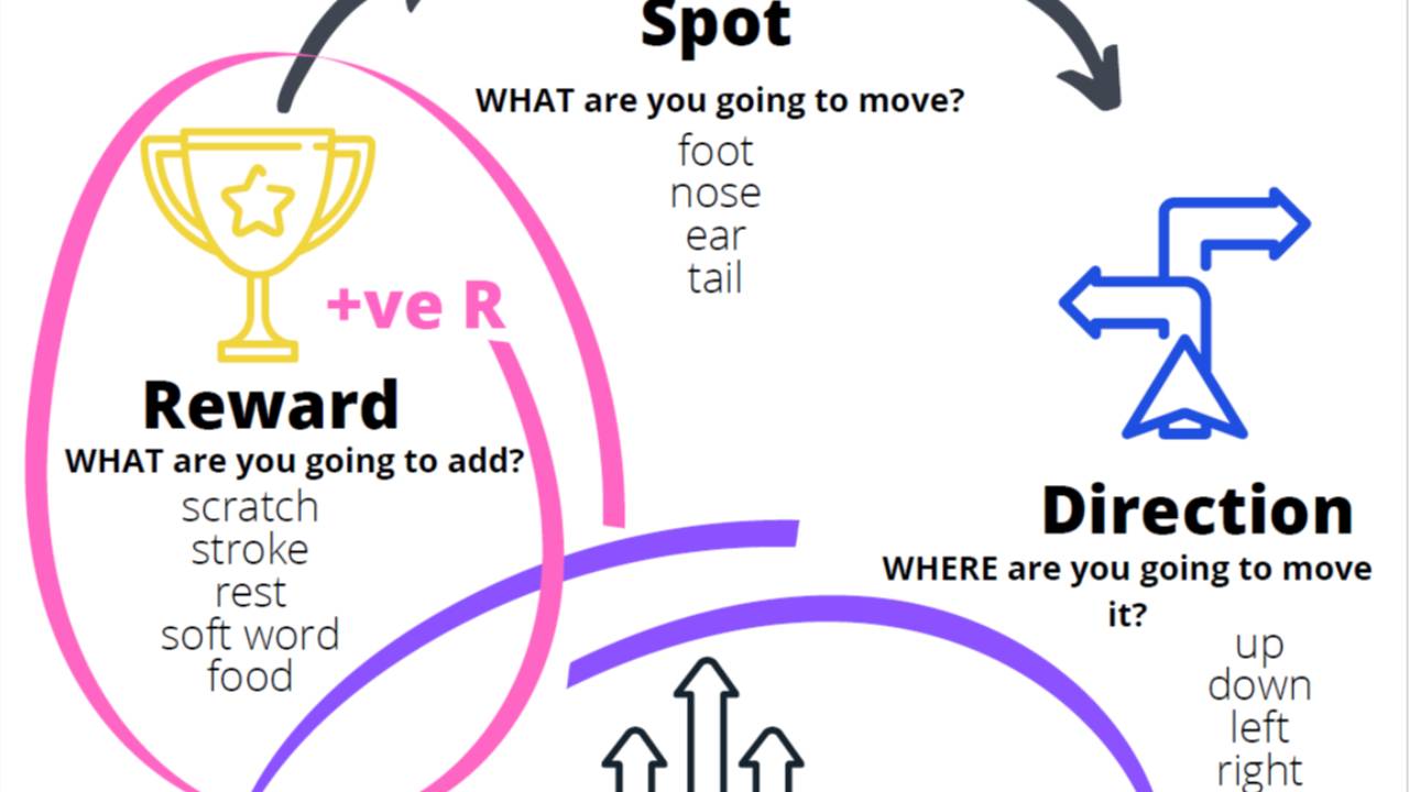 Combined Reinforcement