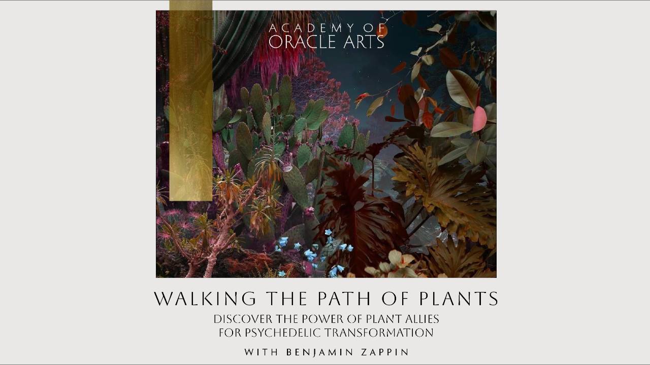 Path of Plants: Discover Plant Allies for Psychedelic Transformation