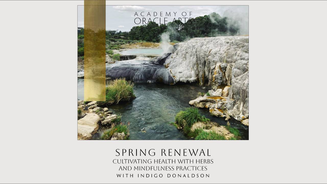 FREE WEBINAR! Spring Renewal: Cultivating Health w/Herbs & Mindfulness