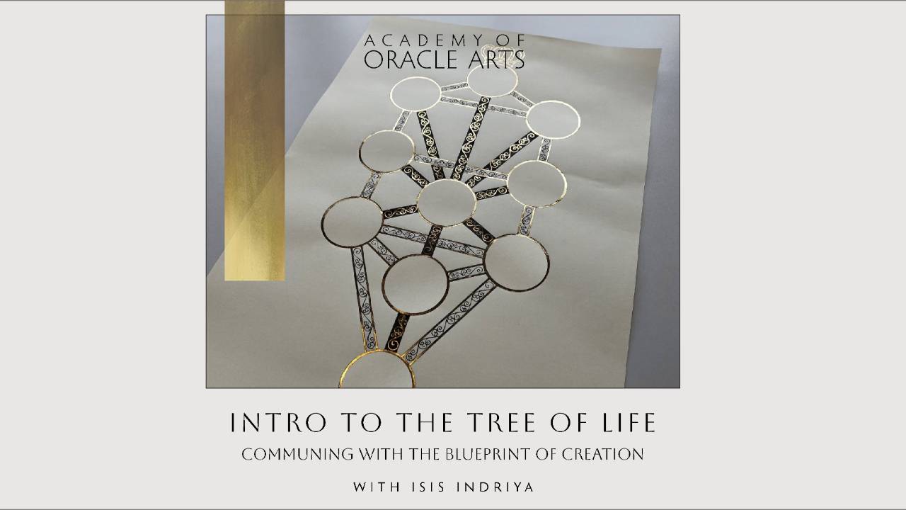 Intro to the Tree of Life: Communing with the Blueprint of Creation