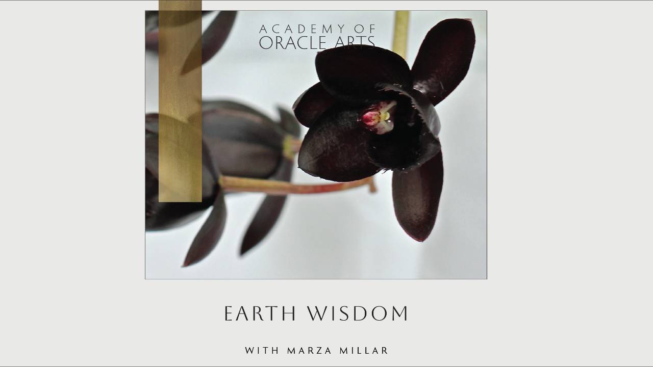 Earth Wisdom Year 1: Plants