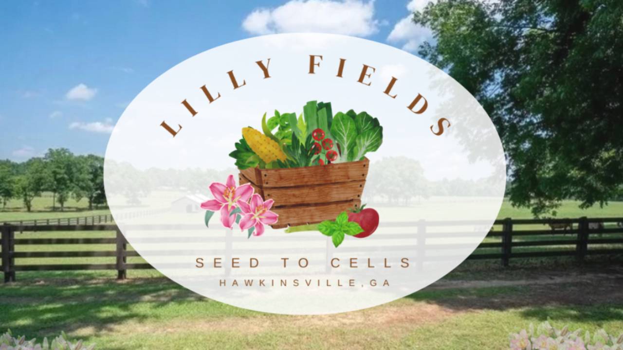 Lilly Fields April 2023 Update!