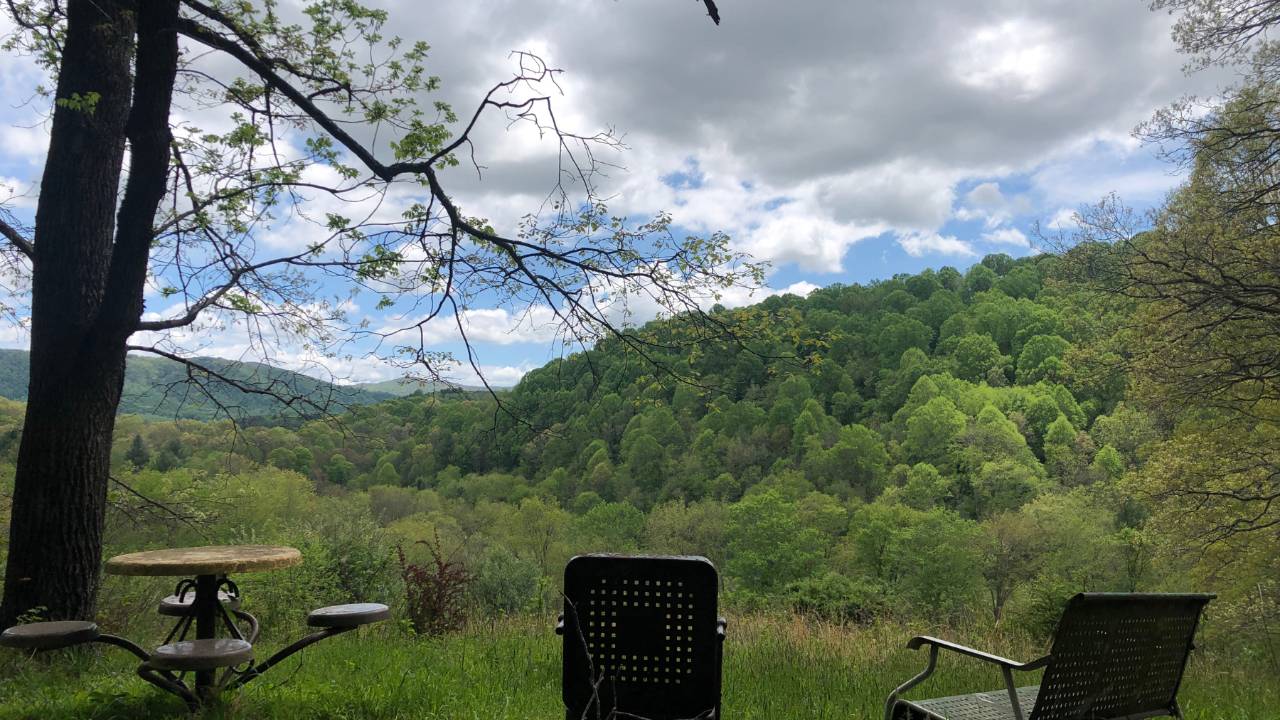 Family-Friendly Floating on New River near Sparta, NC