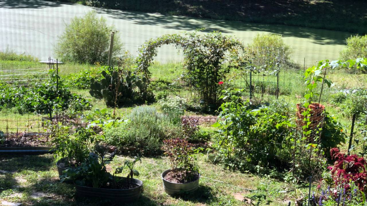 How to plan and build the best homestead garden for your life