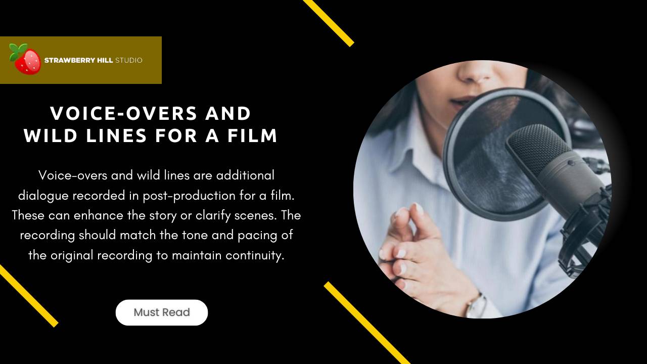 You Need to Know on Voice-Overs and Wild Lines for a Film