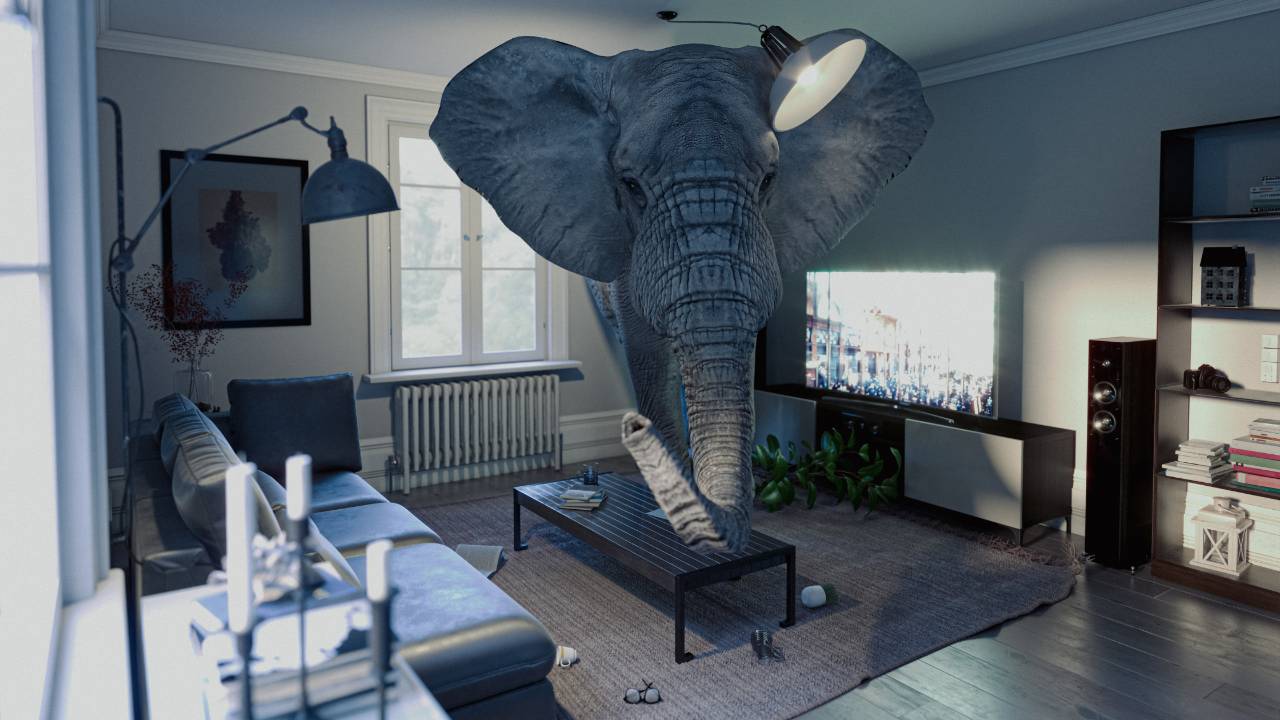The 'Elephant' in the Room