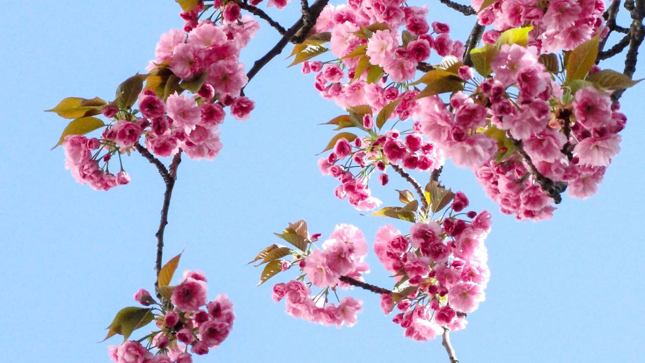 Spring Equinox Represents New Beginnings