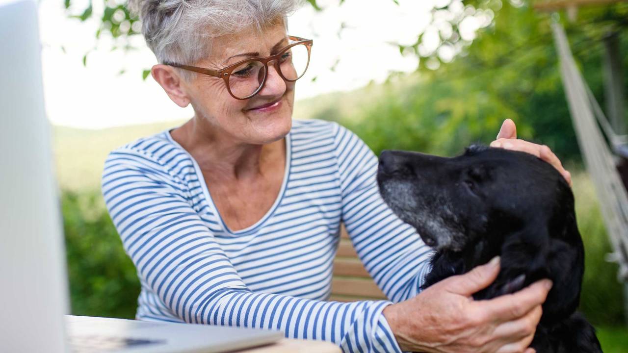 Animal Hospice Courses : Animal Hospice Group