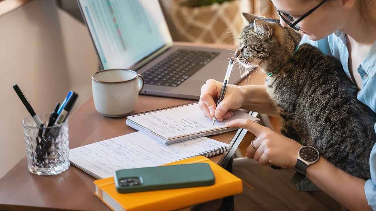 Certified Animal Hospice Practitioner : Animal Hospice Group