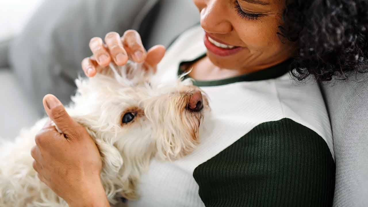 Certified Animal Hospice Foundations : Animal Hospice Group