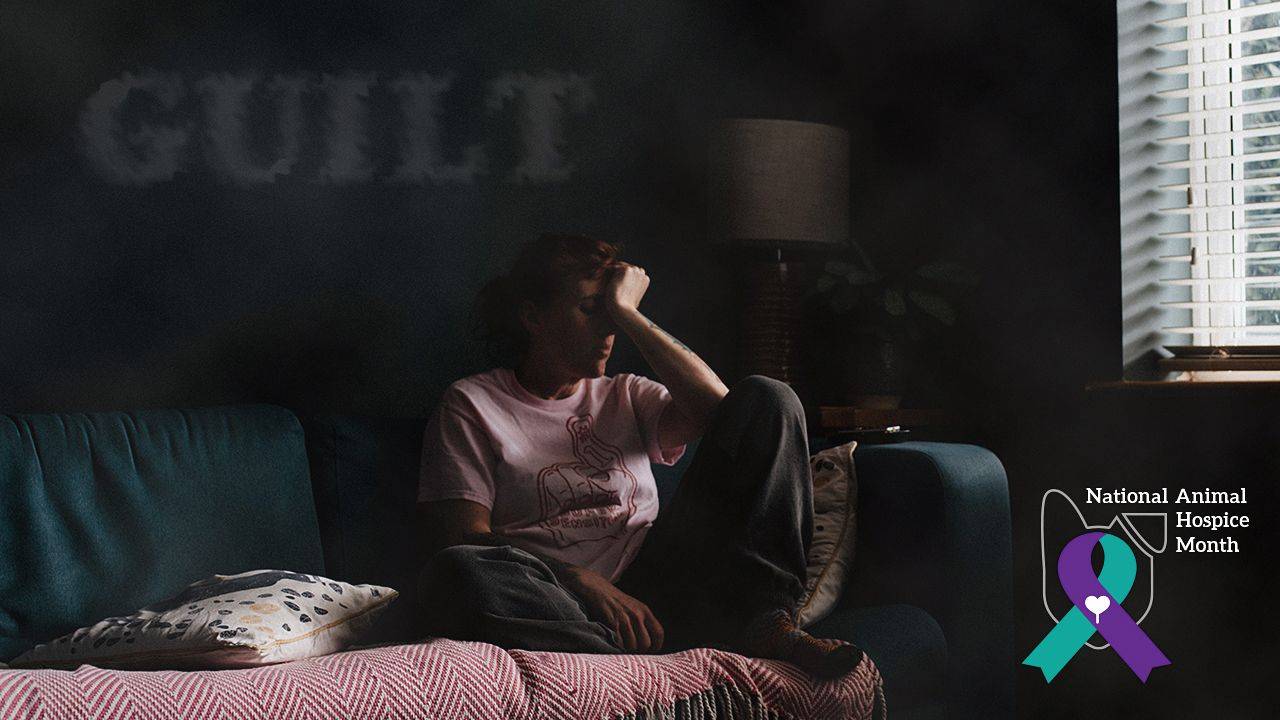 Letting Go of Guilt in Animal Hospice Care