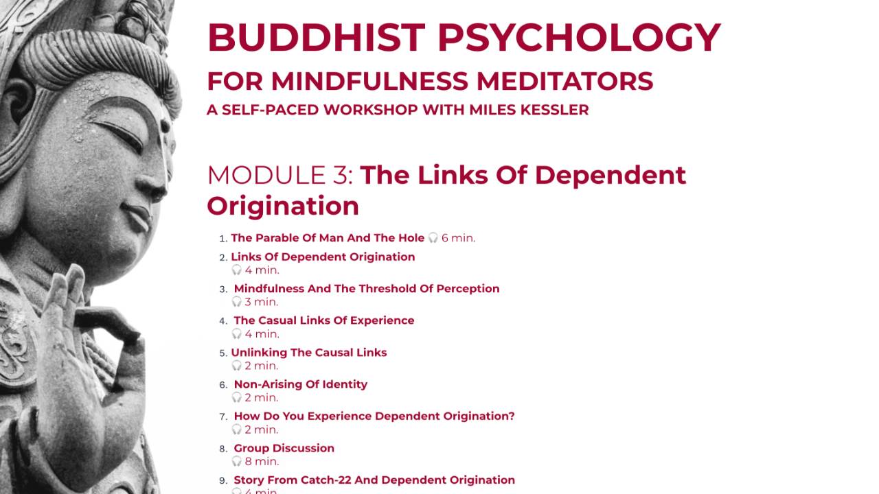 Progress Of Insight - Self-Paced Workshop - Module 3