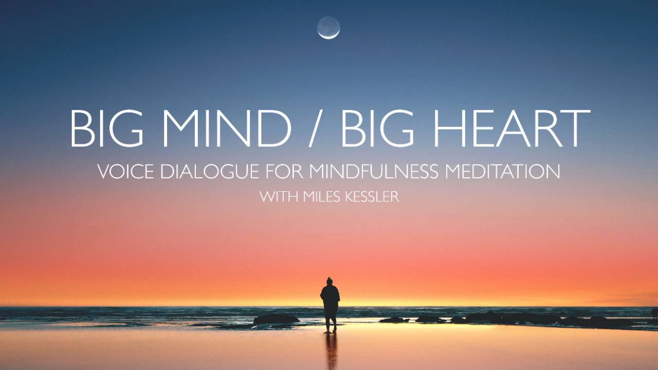 Big Mind / Big Heart - Voice Dialogue For Meditators - Workshop