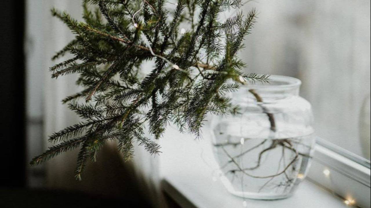 Self-Guided Practices to Nurture Creativity