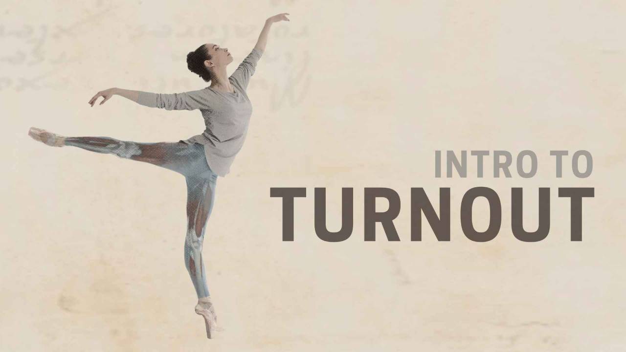Intro to Turnout | Dance Masterclass