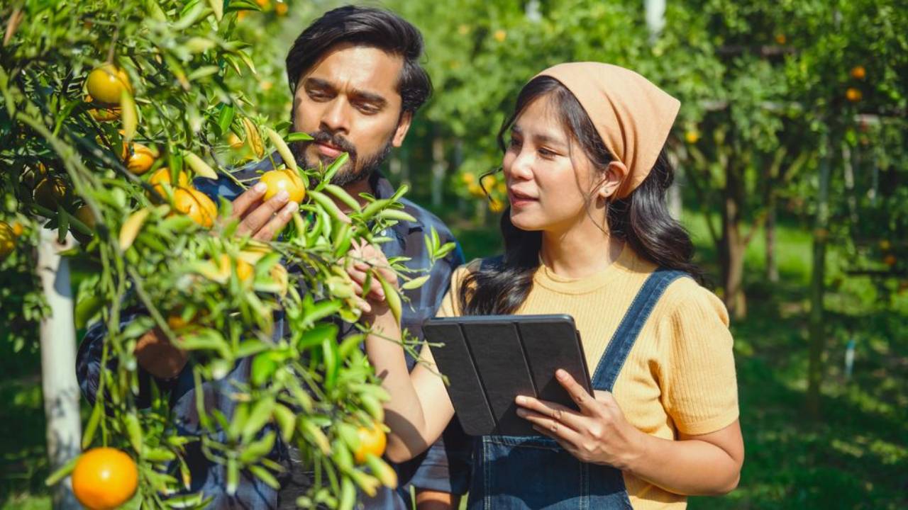 Learn to Communicate Skillfully with the Mind of a Gardener