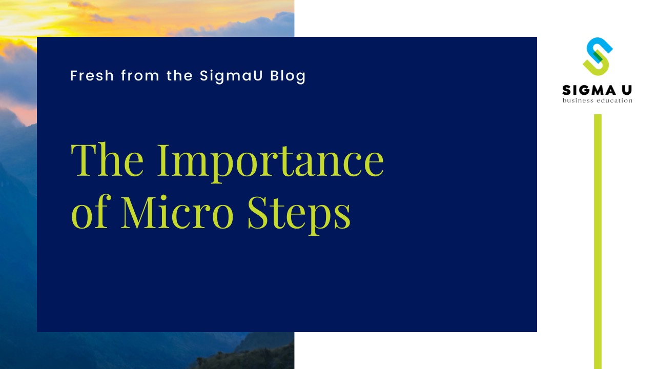 The importance of micro steps