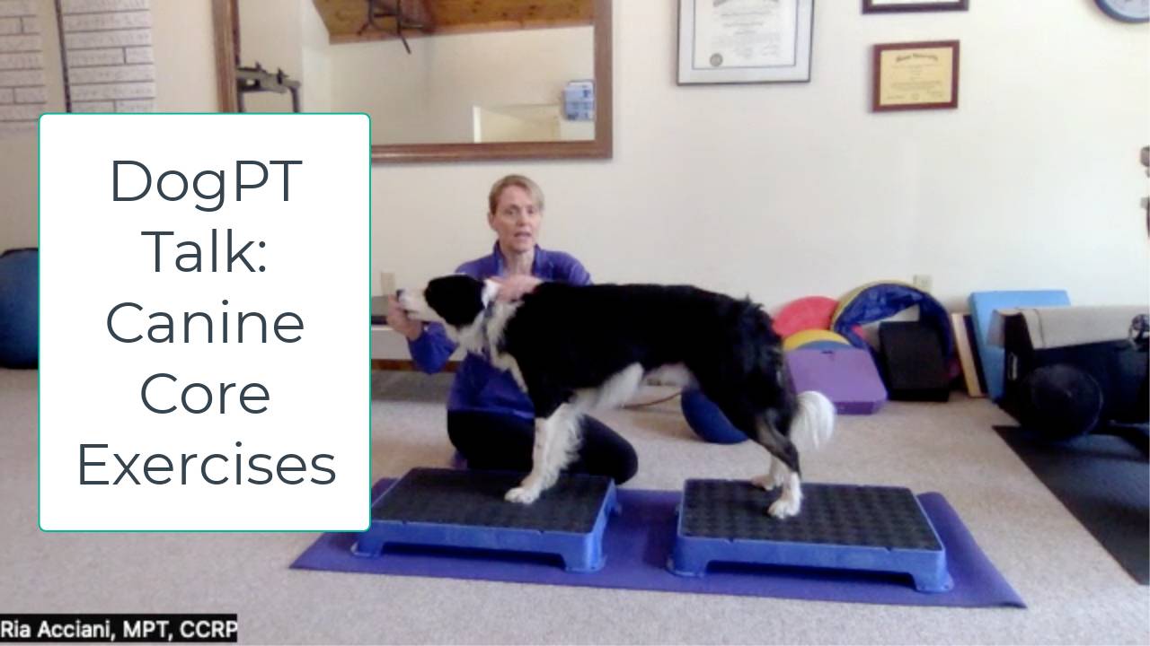 DogPT Talk: Strengthening Canine Core