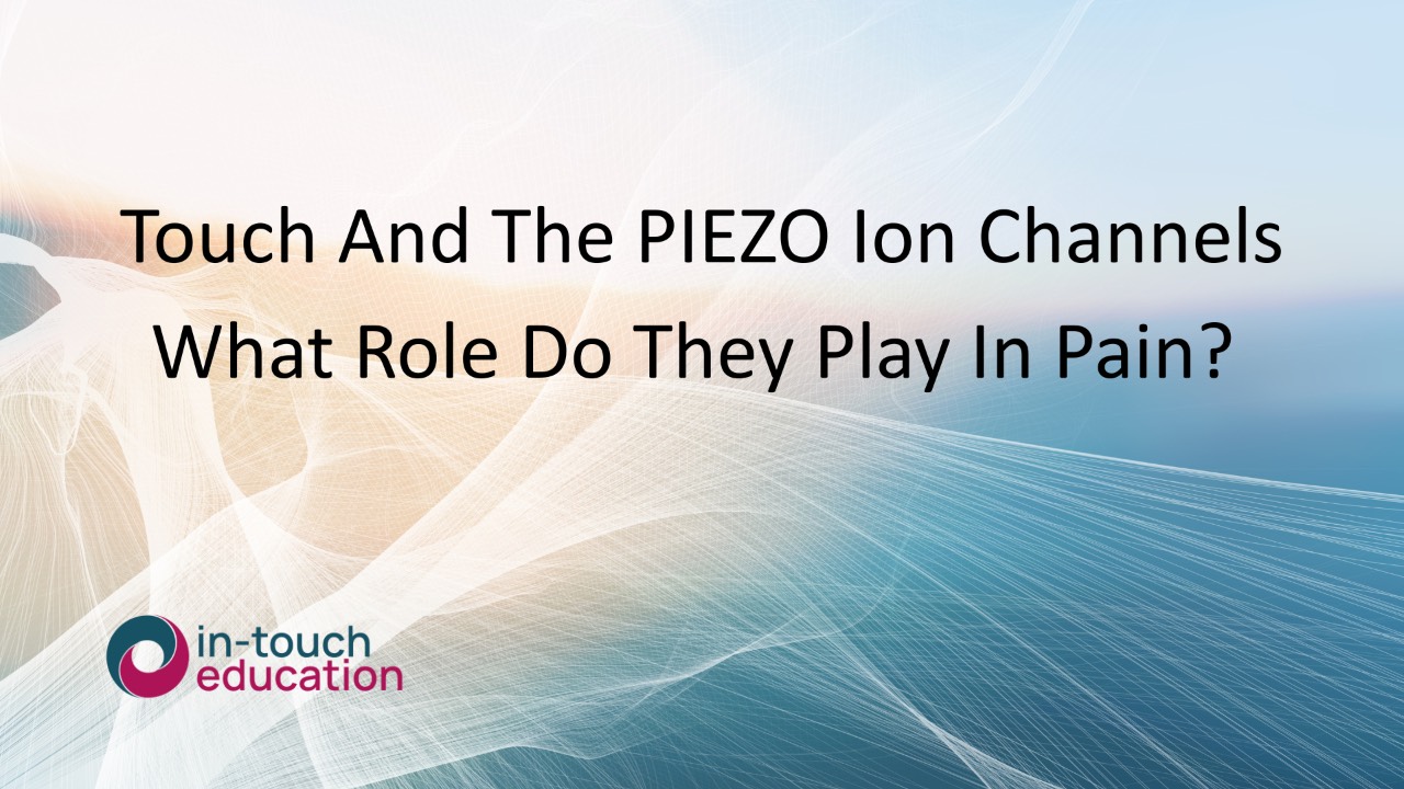 Touch and The PIEZO Ion Channels
