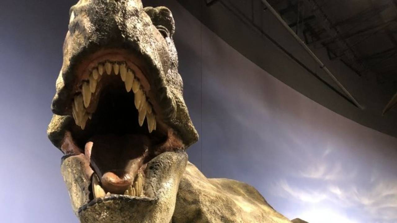 Visit to the Creation Museum (1)