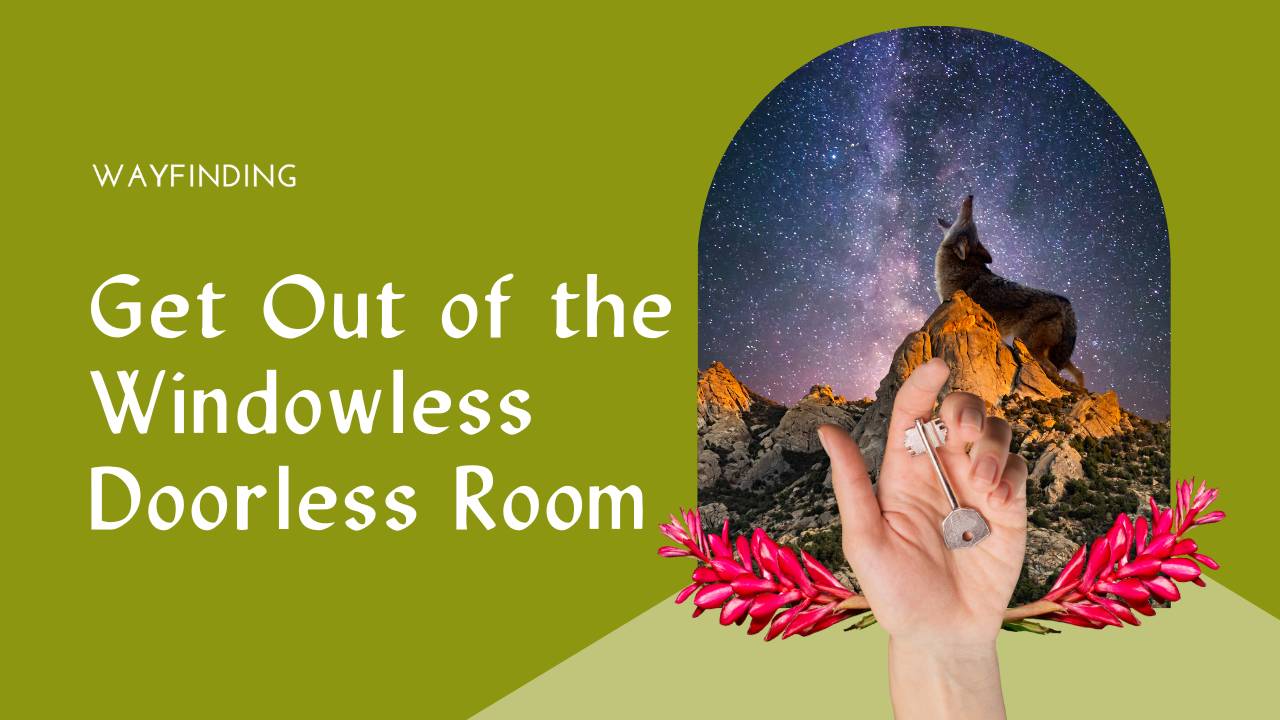 Get Out of the Windowless Doorless Room