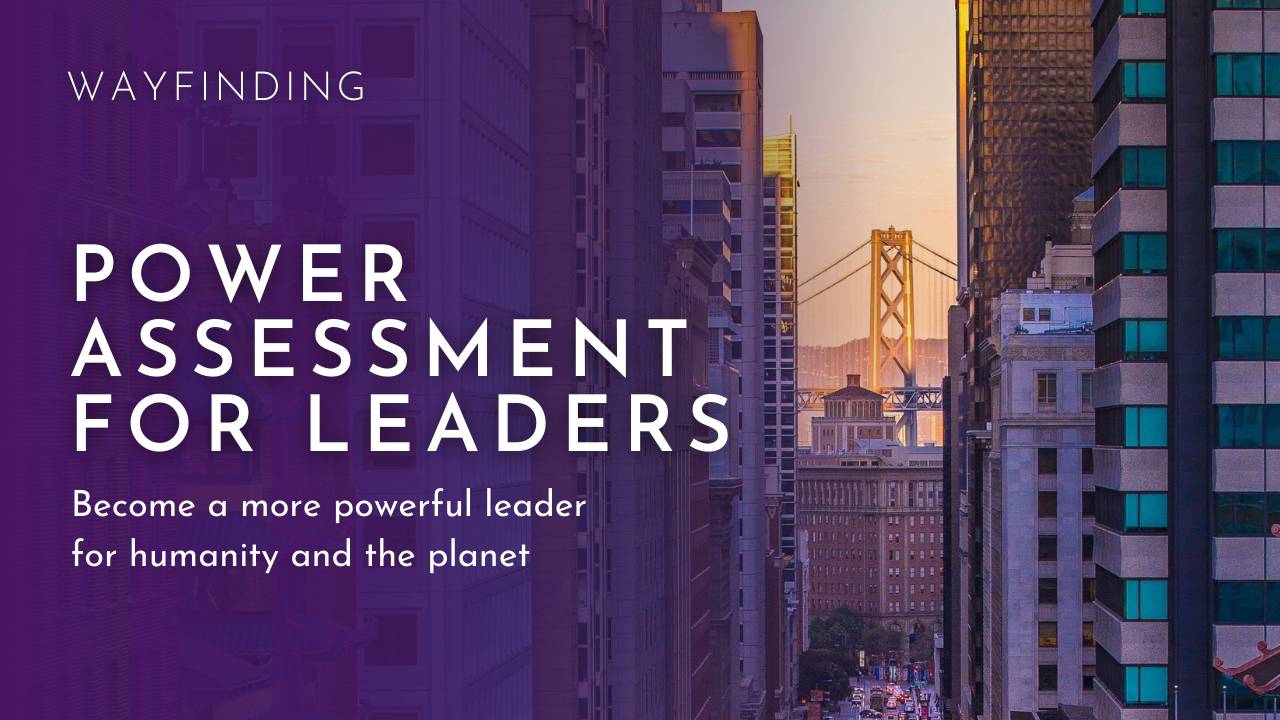 Power Assessment for Leaders