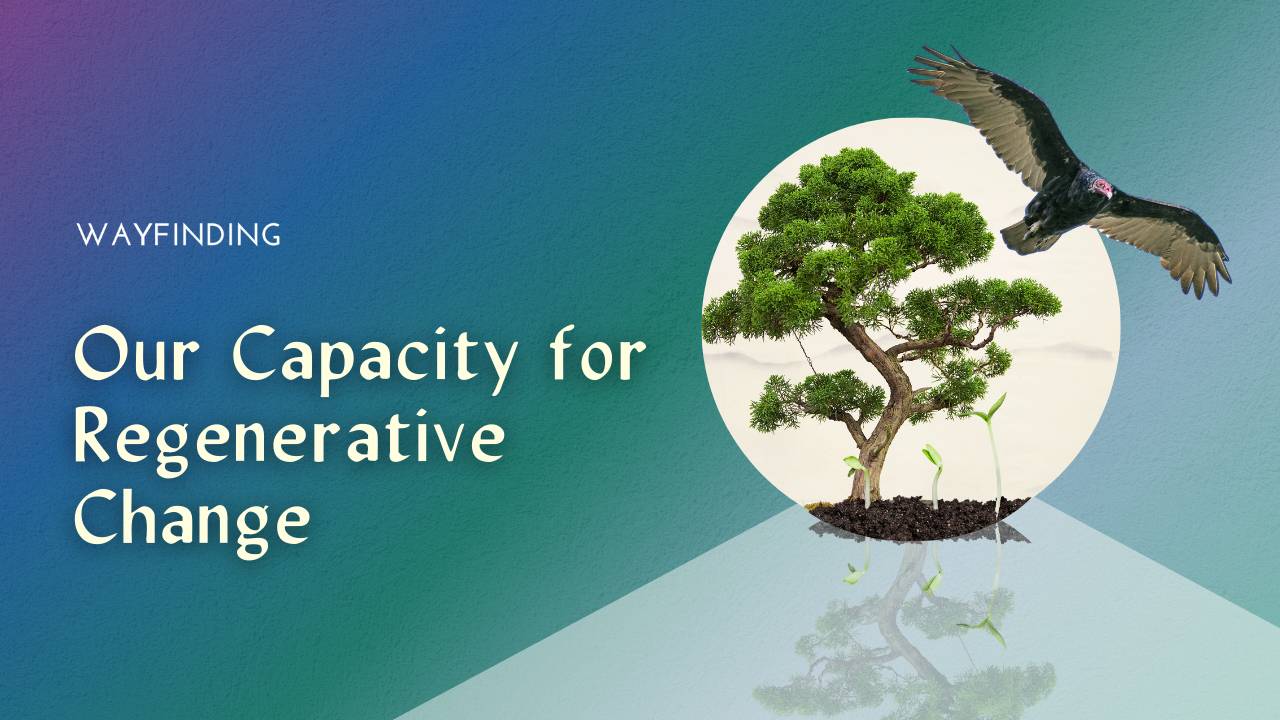 Wayfinding | Our Capacity for Regenerative Change