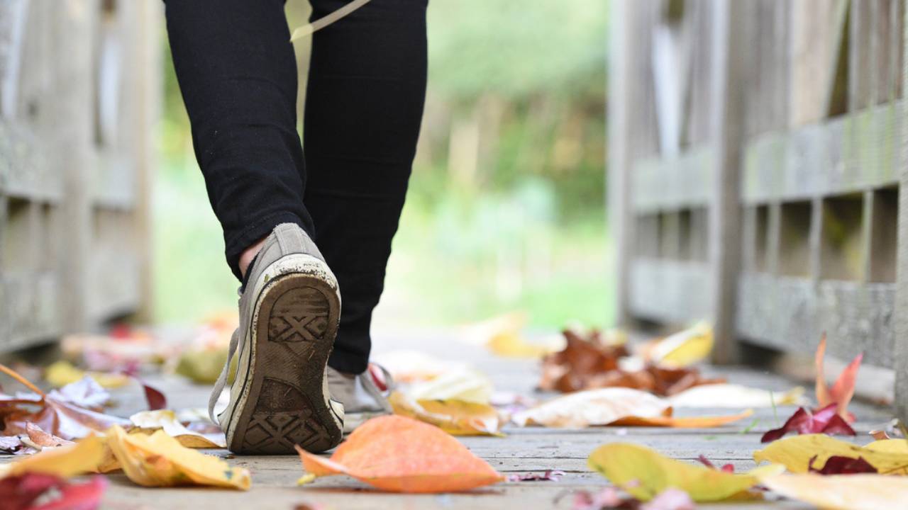 Walk it Off Toolkit Your Path to Success