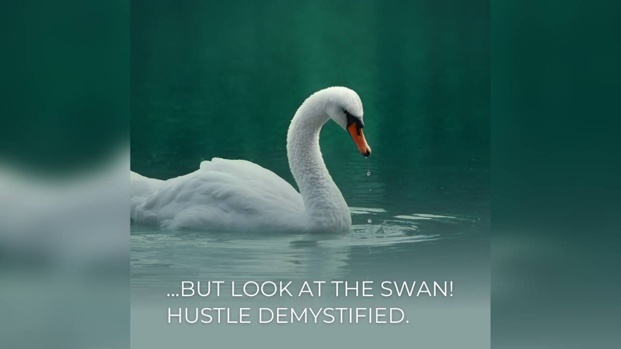 Swan Beauty Quotes