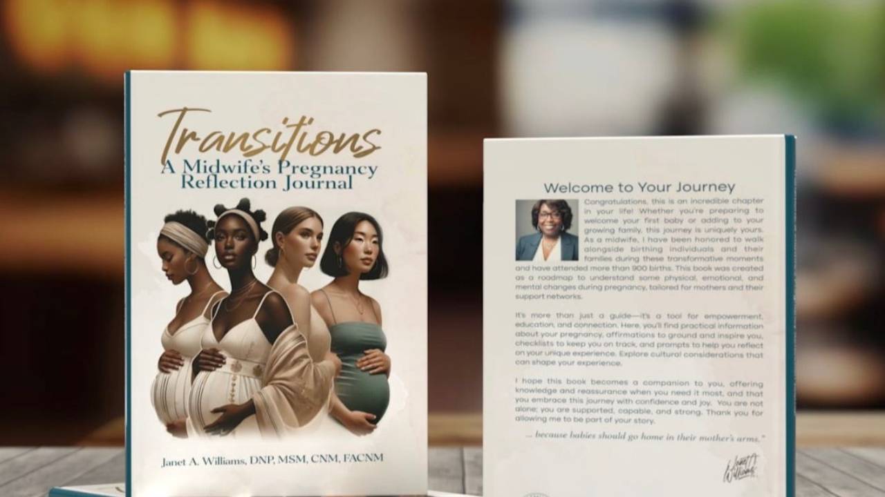 Transitions: A Midwife's Pregnancy Reflection Journal