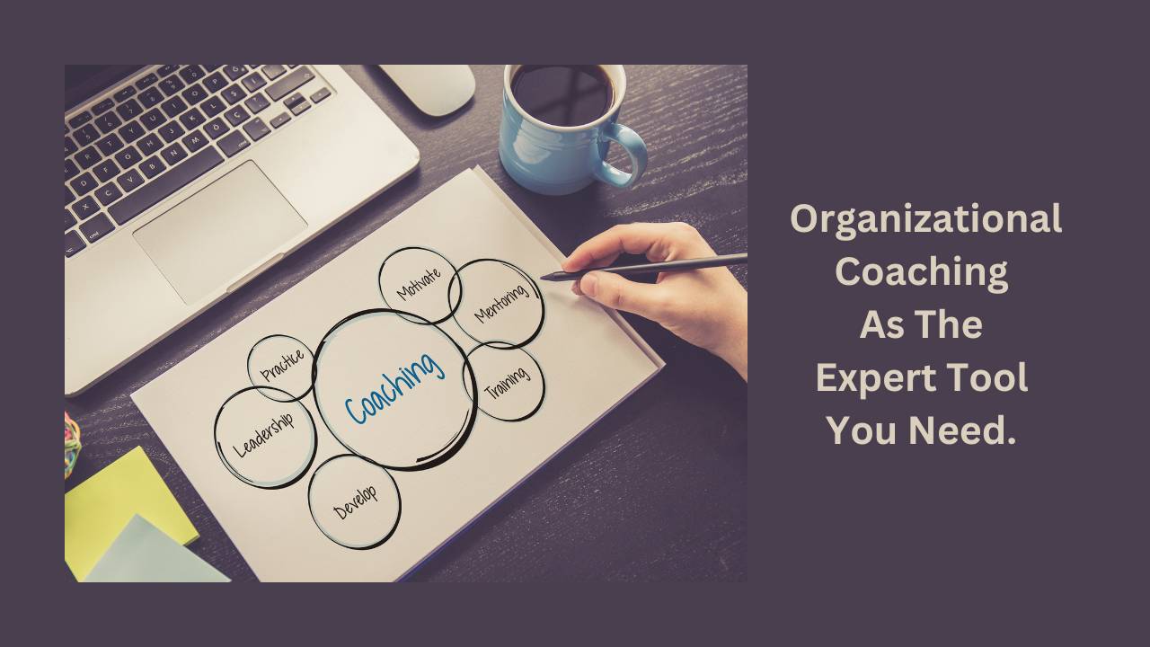 Organizational Coaching as the Expert Tool You Need